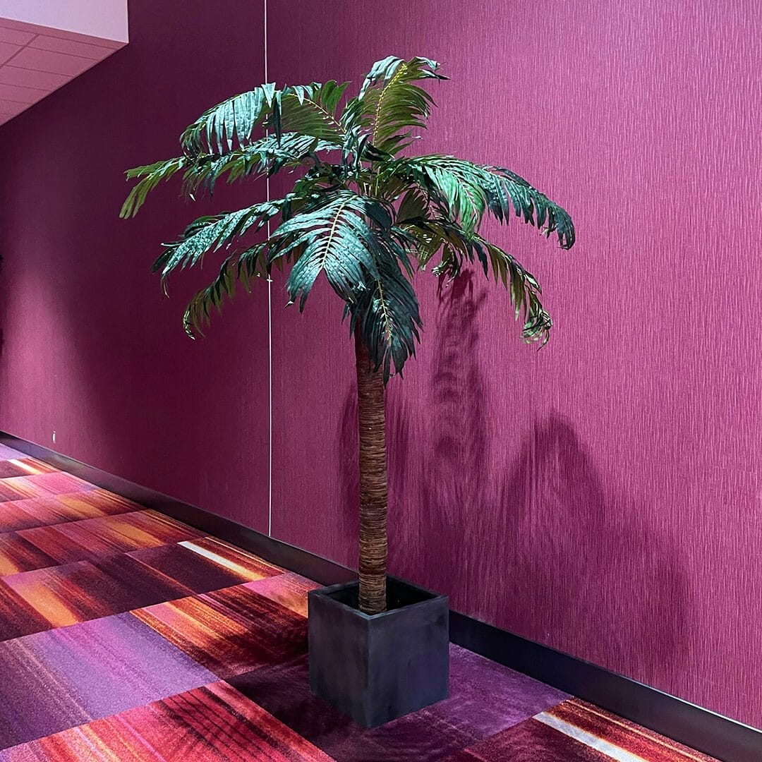 Palm Tropical Tree Rental • Toronto • VintageBash