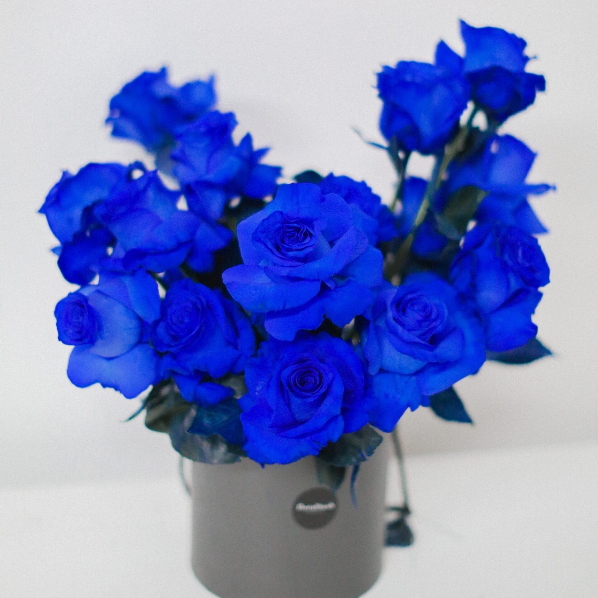Sexy Blue Roses Box · Blue Roses Bouquet Rental • VintageBash